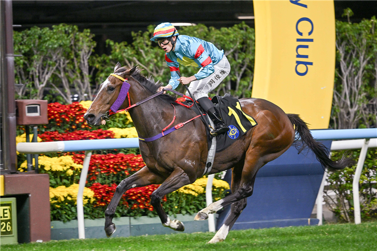 Vincent Ho, Caspar Fownes Star At Happy Valley | Racing and Sports