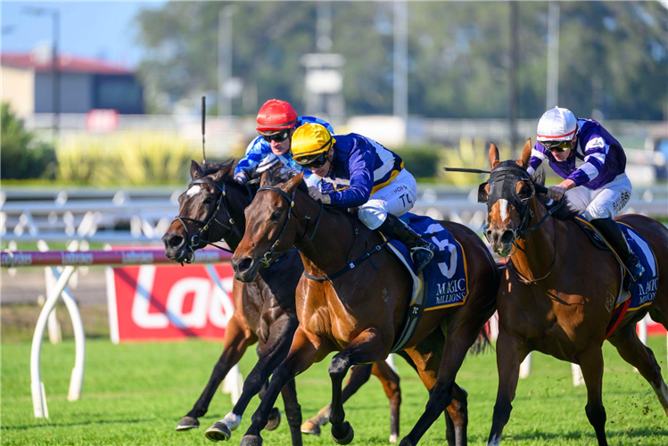 Surfin’ Bird Wins Magic Millions National Classic: Post Race Trainer ...