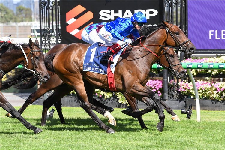 Tom Kitten Wins Group 1 Sharp Eit The All-Star Mile: Post Race Trainer ...