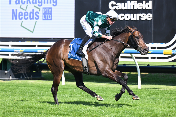 Treasurethe Moment Bounces Back In Sunline | Racing and Sports