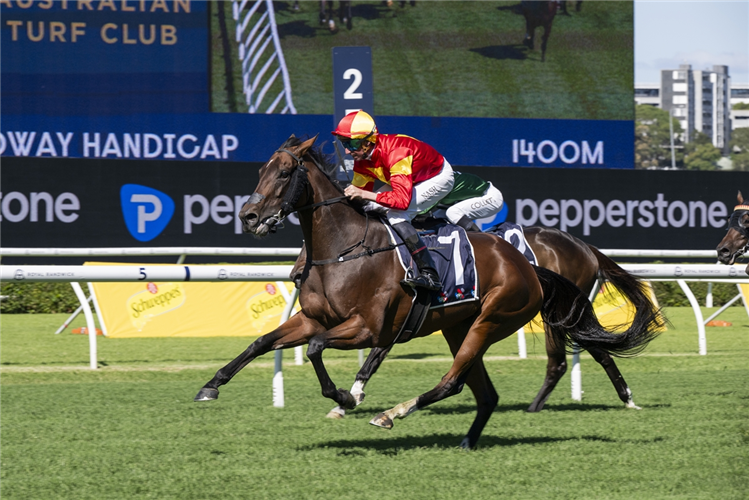 Unique Ambition Breaks Through At Randwick | Racing and Sports