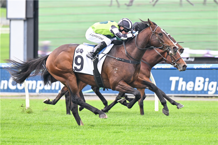 Spring In Mind For Sandown Winner | Racing and Sports
