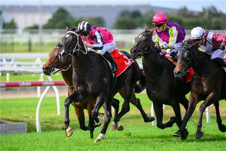 Vantorix Set To Put His Unbeaten Record On The Line In The Sires ...