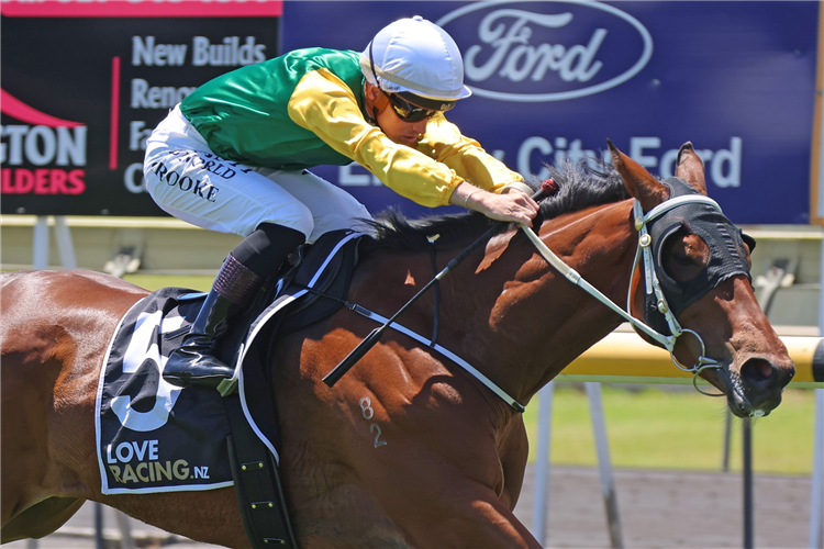 Waka Returns Home For Second-Up Test | Sky Racing World | Sky Racing World