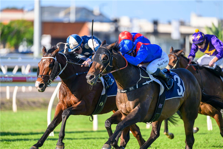 War Eternal Adds To Stud’S Carnival Success | Racing and Sports