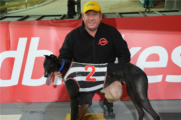 Dewana Star Set For Freshen-Up With Maturity Classic In Sight | Racing ...