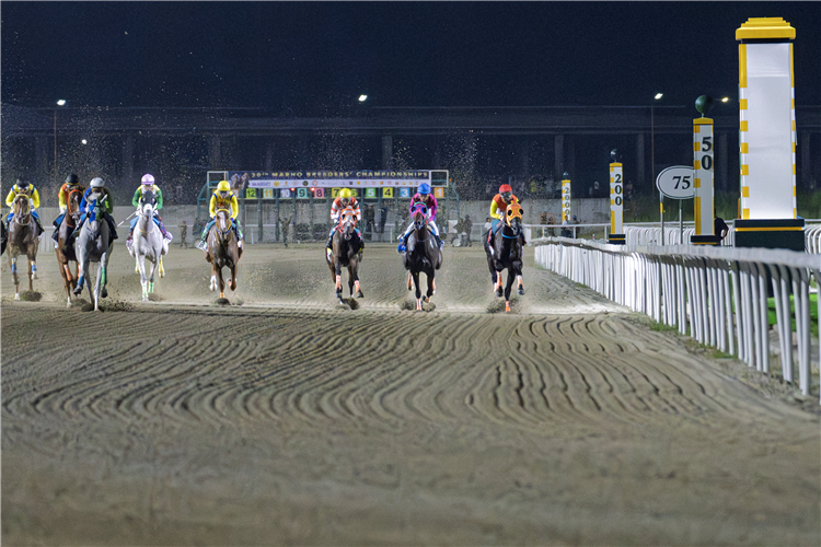 Pjc - Racing Into The Year Of The Horse | Sky Racing World | Sky Racing ...