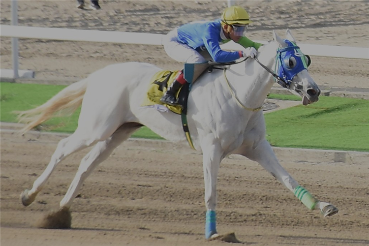 Tough Customer Relentless / Bea Bell Bounces Back | Racing and Sports