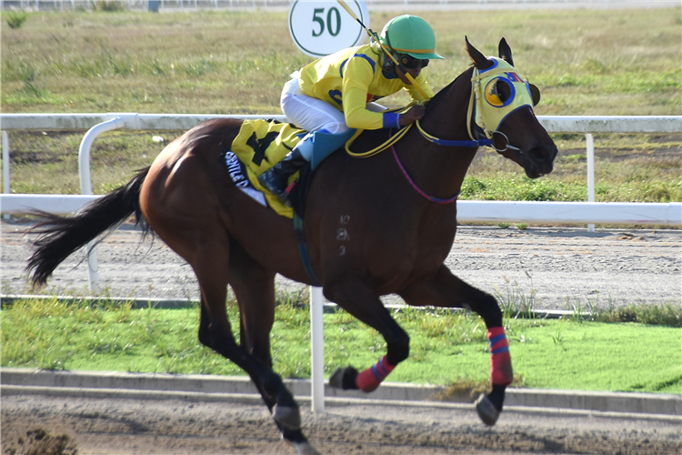 Unbeaten Isa Bell Takes The 1st Leg Triple Crown | Racing and Sports