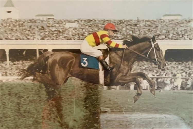 Vale Buzz Leggett | Racing and Sports