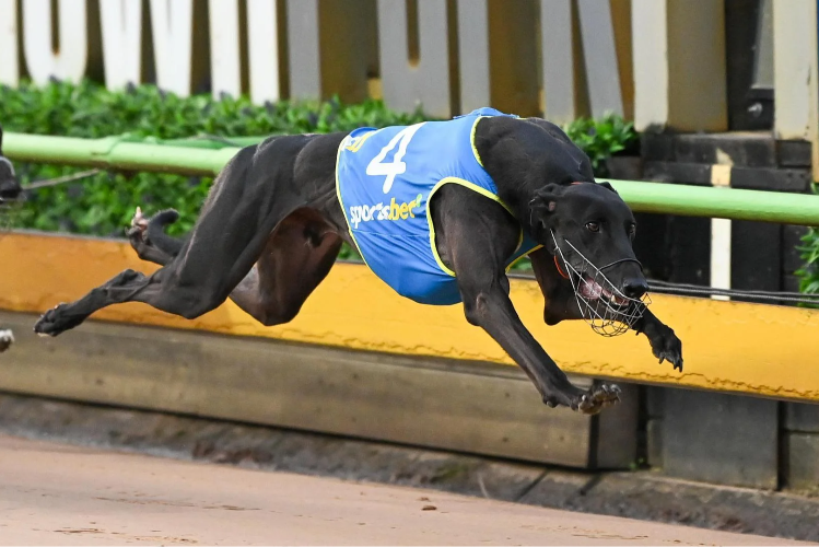 Hurricane Back To Sandown Park In Full Force | Racing and Sports