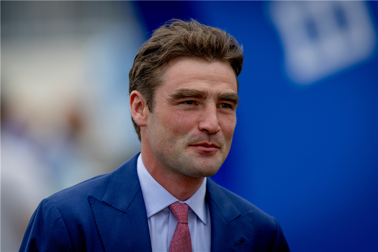 Invincible Ibis Draws Perfectly As Newnham Eyes Bmw Hong Kong Derby ...