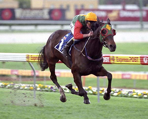 2023 Sa Fillies Classic: Race History | Racing and Sports