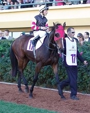 More Rabbits In The Hat For Robbie Laing | Racing and Sports