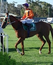 Bede Murray Interview | Racing and Sports