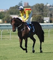 Blake Spriggs Interview | Racing and Sports