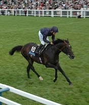 Royal Ascot: Yeats Set For History Bid | Racing and Sports