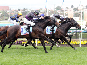 Gai On Track To Win First Cup | Racing and Sports