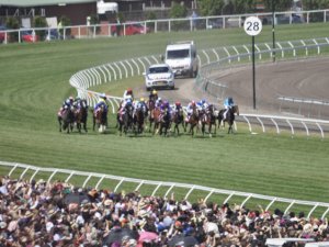 Melbourne Cup Horses Pass Fitness Tests | Racing and Sports