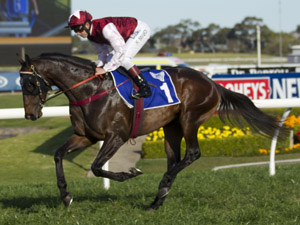 One Step Kicks Off For Sidestep | Racing and Sports