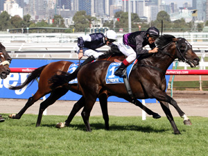 Fiorente Confirmed For Wfa Ranvet Stakes | Racing and Sports