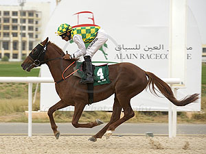 Uae Apprentice Saeed Al Mazrouei Holds Strong Claims At Final Al Ain ...