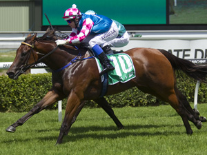 Tetsuko Earns Sweet Embrace Stakes Start | Racing and Sports