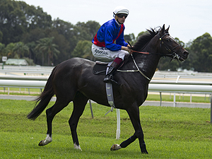 Adelaide To Miss George Ryder | Racing and Sports