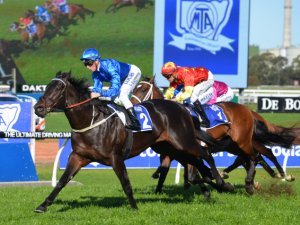 2015 G2 Mta Nsw Run To The Rose - Exosphere Stars | Racing and Sports