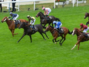 Jeremy Gask Royal Ascot Interview | Racing and Sports