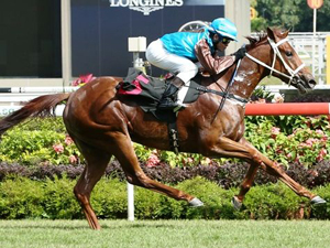 Kiwi Karma On Comeback Trail | Racing and Sports