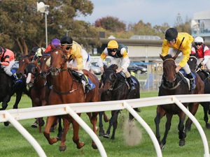 Hickmott's Update On Party Crasher: 12th June 2025 | Sky Racing World ...