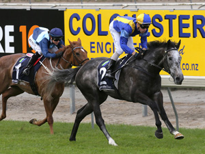 Wide Draws No Barrier To Cup Success: Baker | Racing and Sports