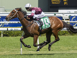 The Rise And Rise Of I Am Invincible | Racing and Sports