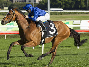 Hartnell Out To Bounce Back In Ranvet | Racing and Sports