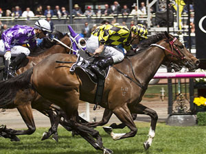 2017 Angus Armanasco Stakes: All In Market | Racing and Sports