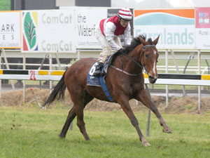 Aidan Rodley Looks At The New Zealand Weekend Action | Racing and Sports