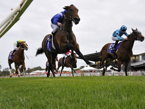 Wyong Winners - Tips For Thursday, 15th June 2023 | Racing and Sports