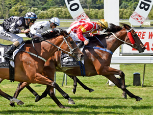 Nom Du Beel Looking Good For Wanganui | Racing and Sports