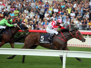 Rawiller Eyes Citi Hong Kong Gold Cup, Takes Aim With Secret Weapon ...