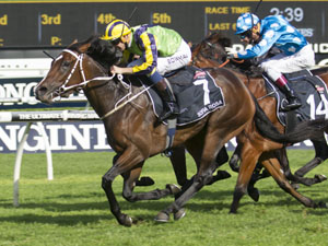 Danielle Johnson To Ride Sofia Rosa | Racing and Sports