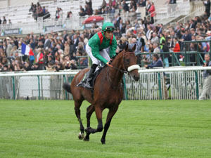 Alain De Royer-Dupre Gives Zarak Thumbs-Up For Arc At Chantilly ...