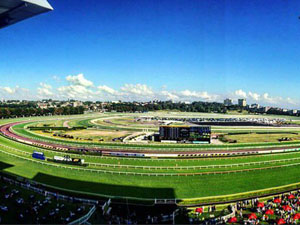 Early Scratchings And Track Conditions For Randwick | Racing and Sports