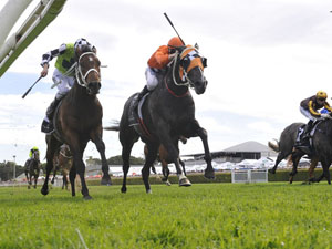 Spring Champion Day Timeform Recap With Alex Steedman | Racing and Sports