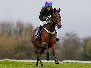 Colin Tizzard Planning Three More Runs And Then Retirement For Cue Card ...