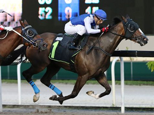 Early Double For Saimee With Hee's Forte And Danzeb | Racing and Sports