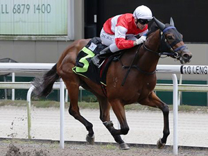 Bounty Hunting For Bigger Prizes | Racing and Sports