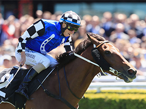 Melbourne Target For Veteran Stayer | Racing and Sports