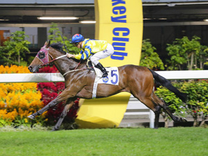 “Surprise Packet” Isaac To Continue Progression At Happy Valley ...