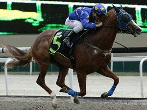 Lim's Racer Back To Her Best As She Takes Last | Racing and Sports